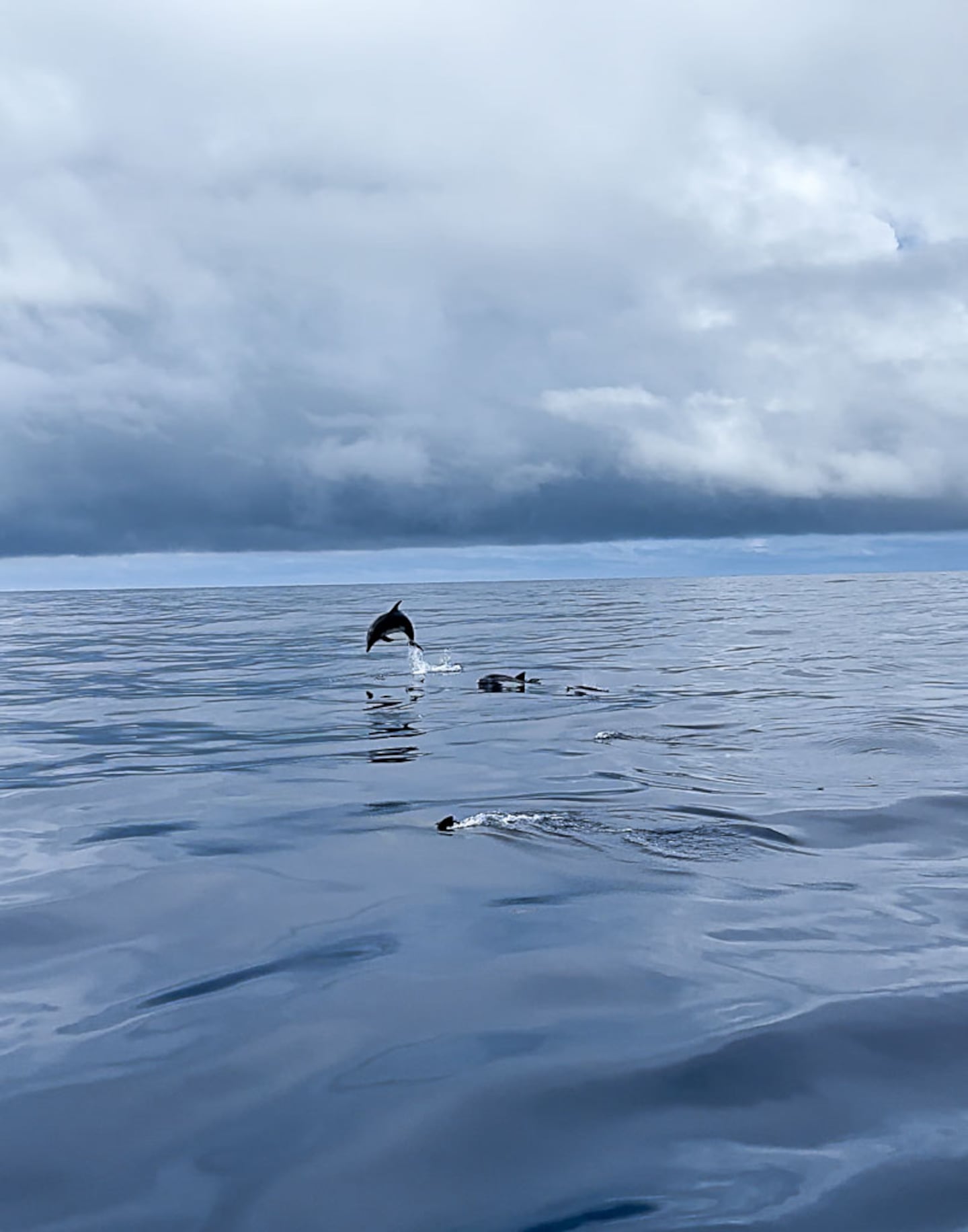 11 activités pour découvrir l'île de São Miguel aux Açores