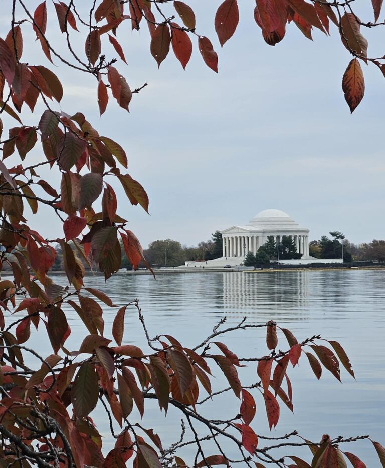 Washington: petit guide des incontournables à visiter