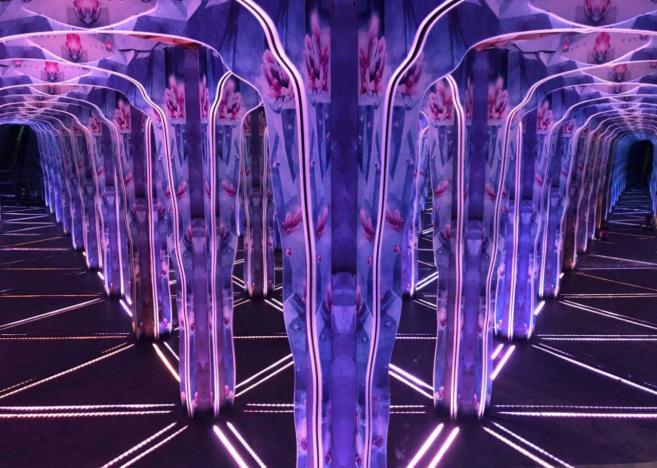 BFLY: un nouveau labyrinthe pour encore plus de plaisir en 2023