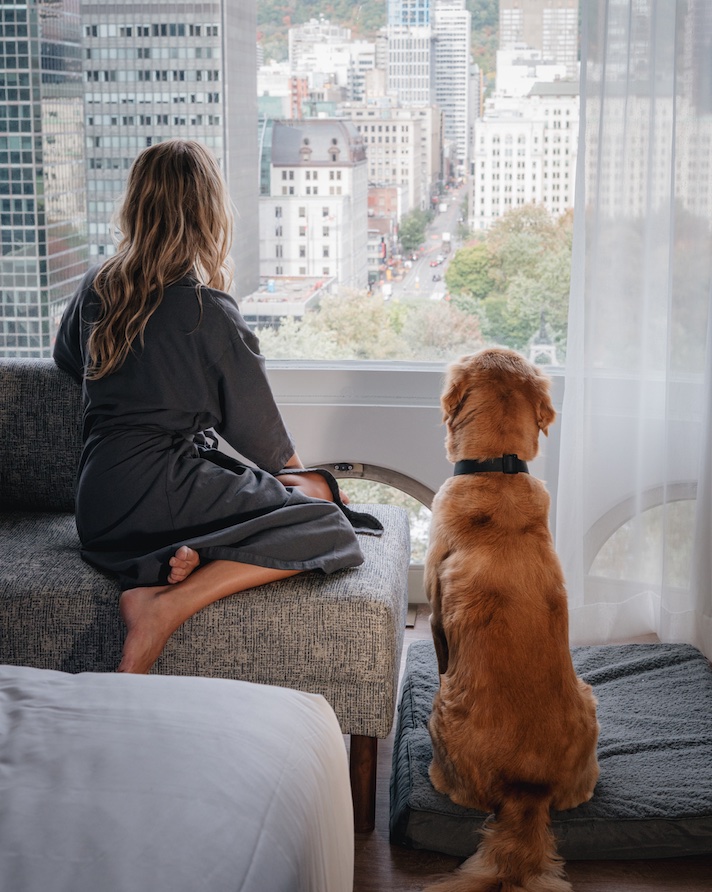 Ce populaire hôtel de Montréal accueille désormais les chiens