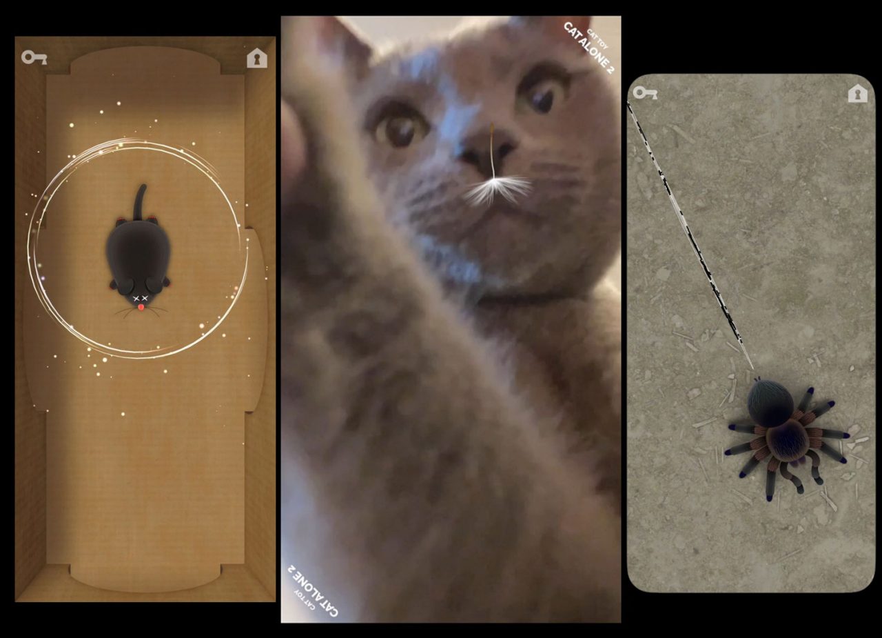 Les meilleures applications et technologies au service des animaux