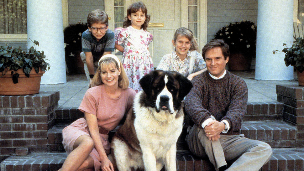 10 films de chiens qui font autant sourire que pleurer