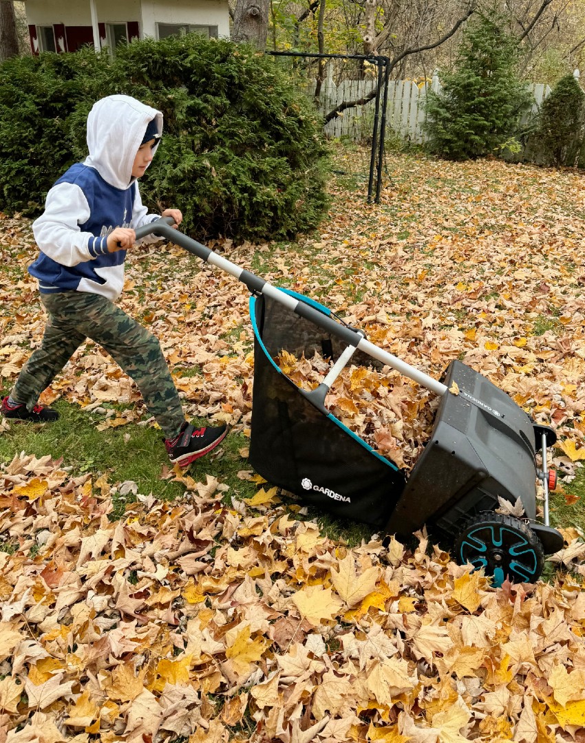 J'ai testé cette machine à ramasser les feuilles