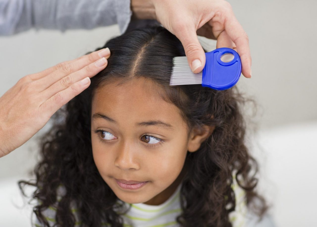 Guide pour vous aider à prévenir et traiter les poux