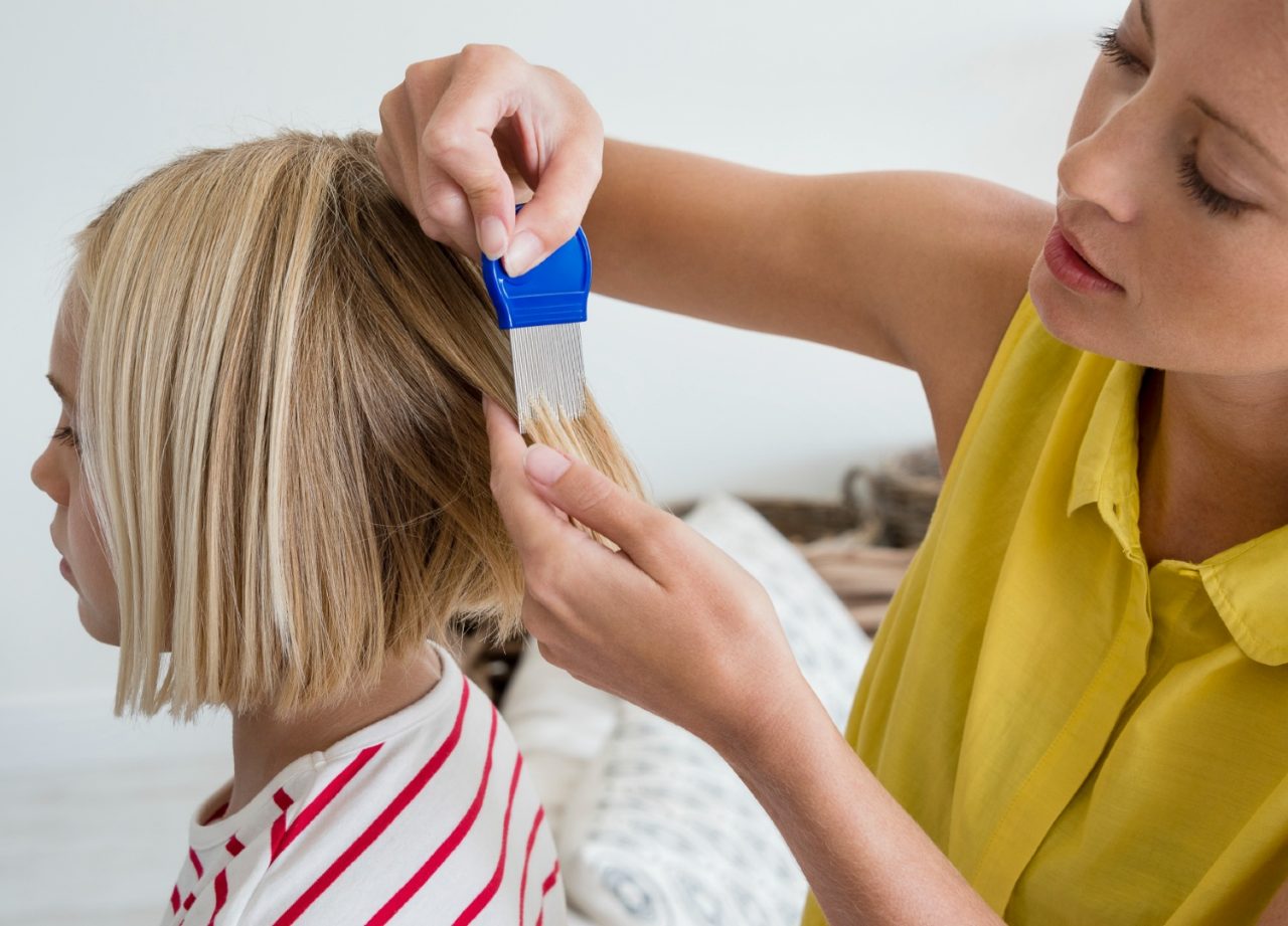 Guide pour vous aider à prévenir et traiter les poux