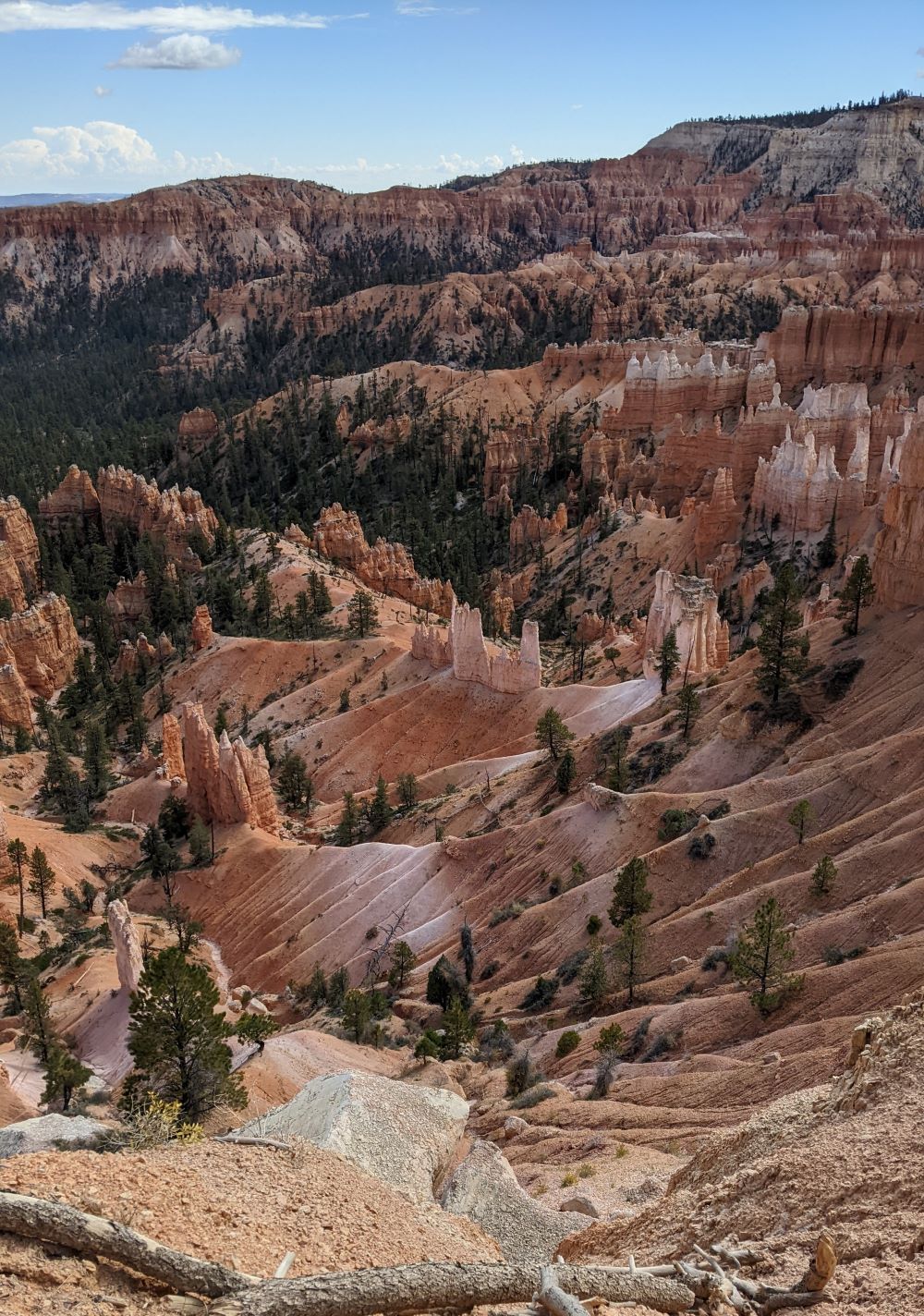 Visiter les parcs nationaux américains avec son chien: bonne ou ...