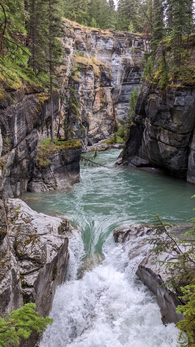 Ouest canadien: 10 randonnées à faire dans les Rocheuses avec son chien.