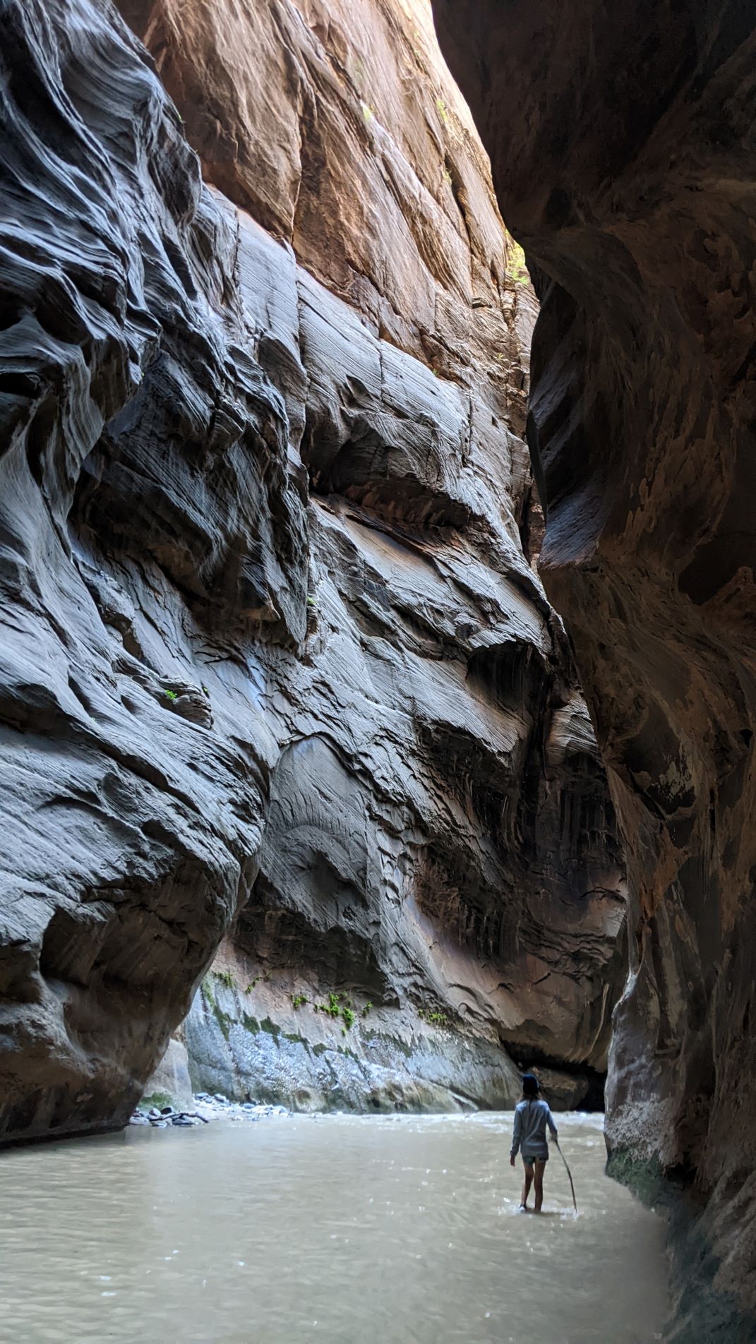 Ouest américain: 5 randonnées incontournables dans les parcs nationaux ...