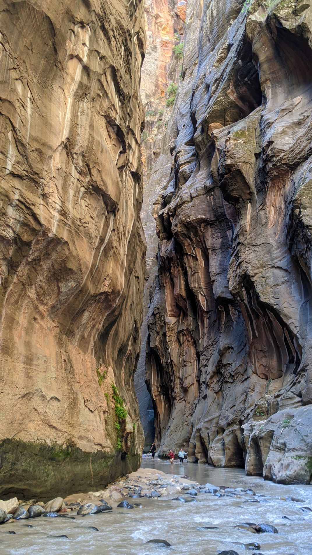 Ouest américain: 5 randonnées incontournables dans les parcs nationaux ...